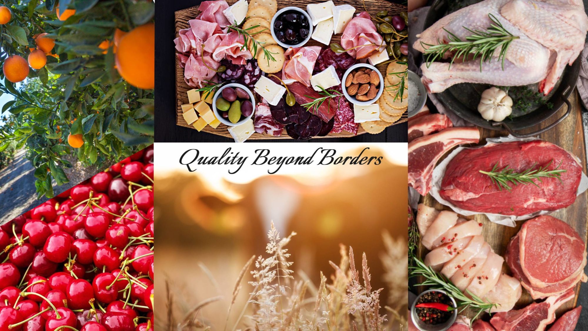 Quality Beyond Borders – from the Bay Area for 40+ years. - Oritz ...